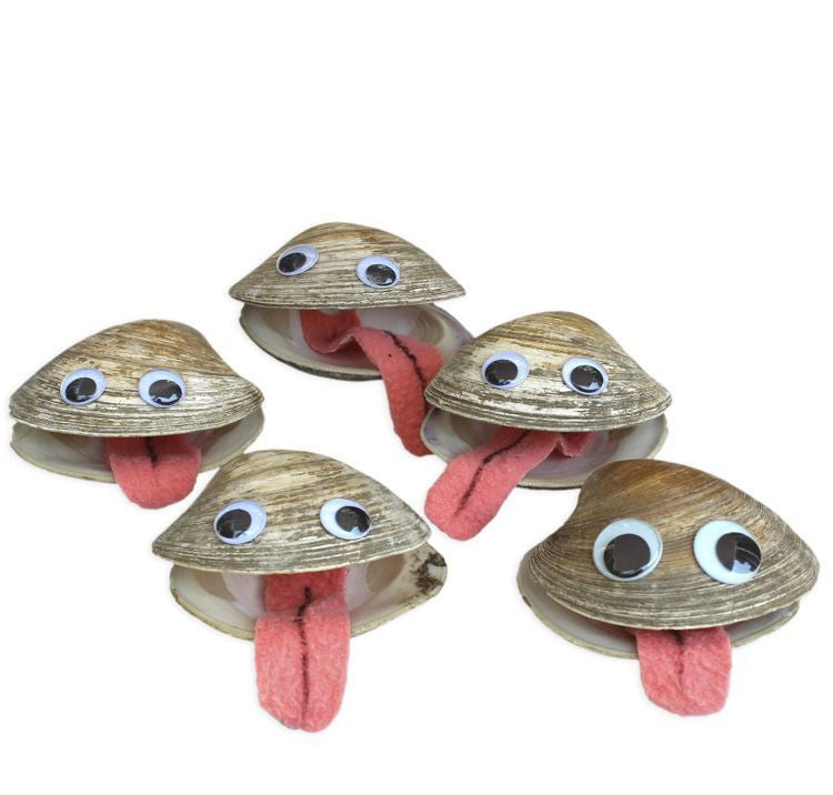 Clam Buddy – M. Carter